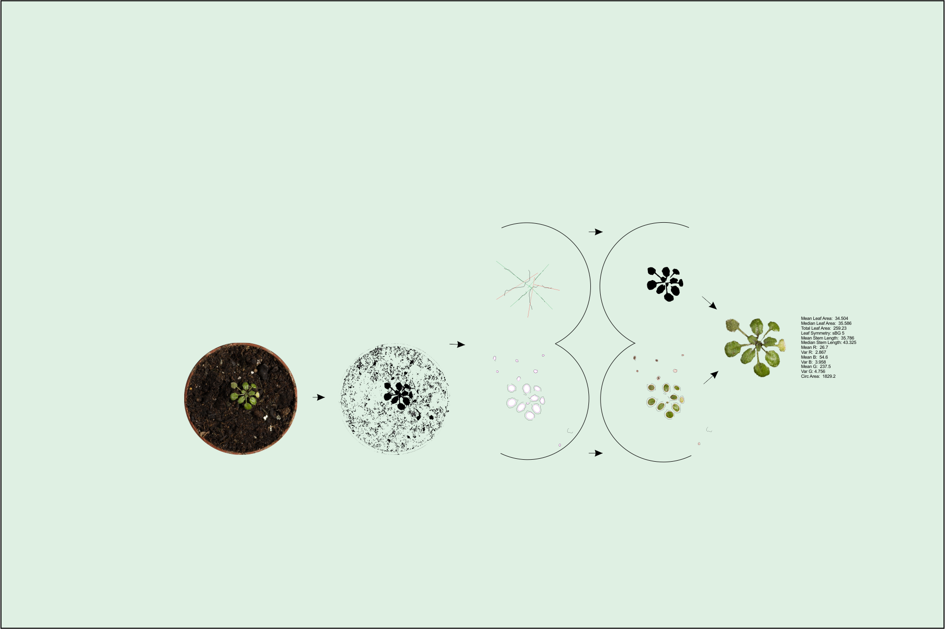 Home - BME Systems Inc.